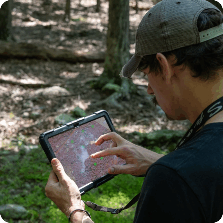 Forestry Mapping Software | Professional Forest Management Tools - SilviCultural - SilviCultural
